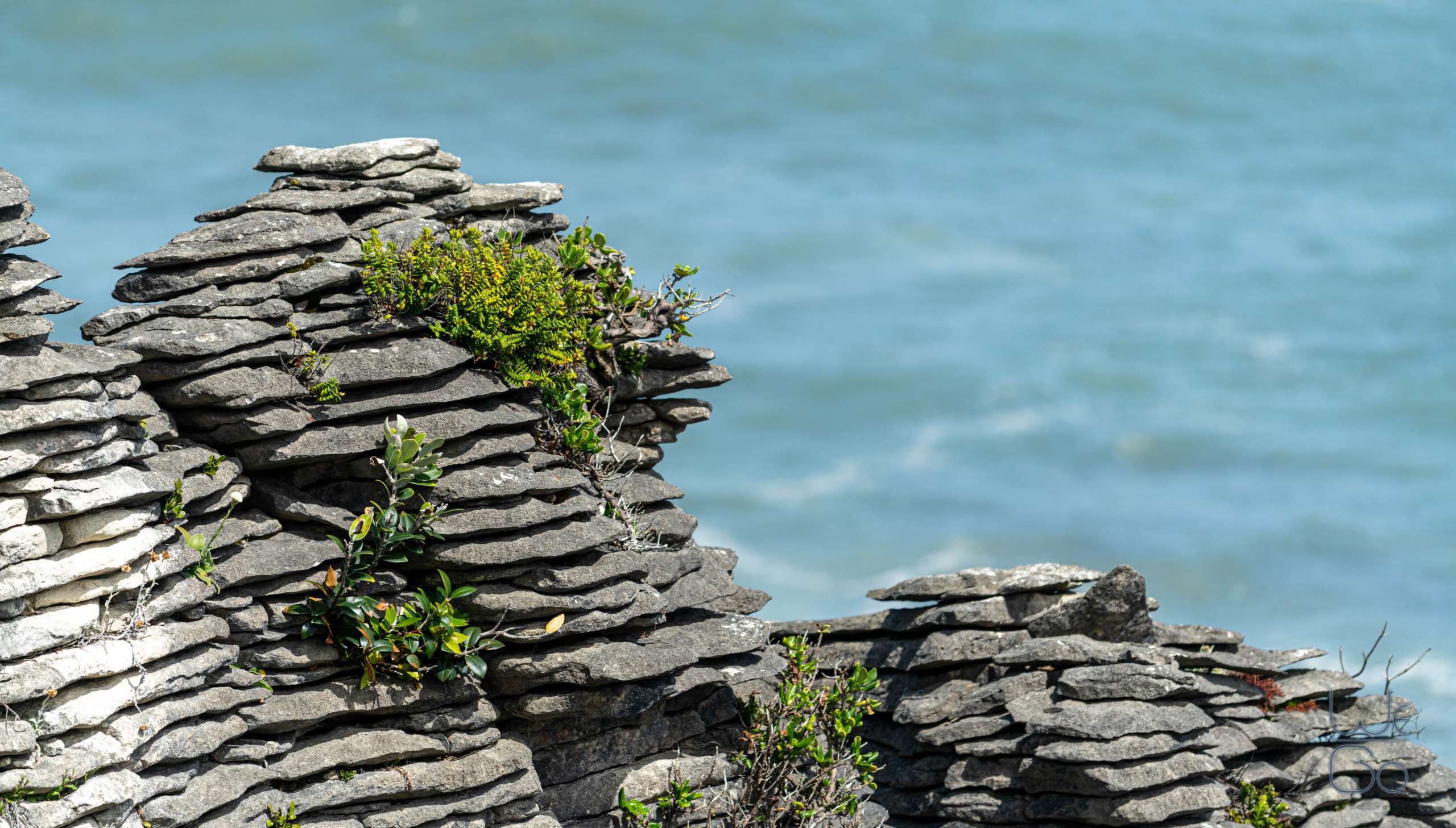 2020_01_30 Pancake Rock and Shanty Town - ....we have gone around the ...